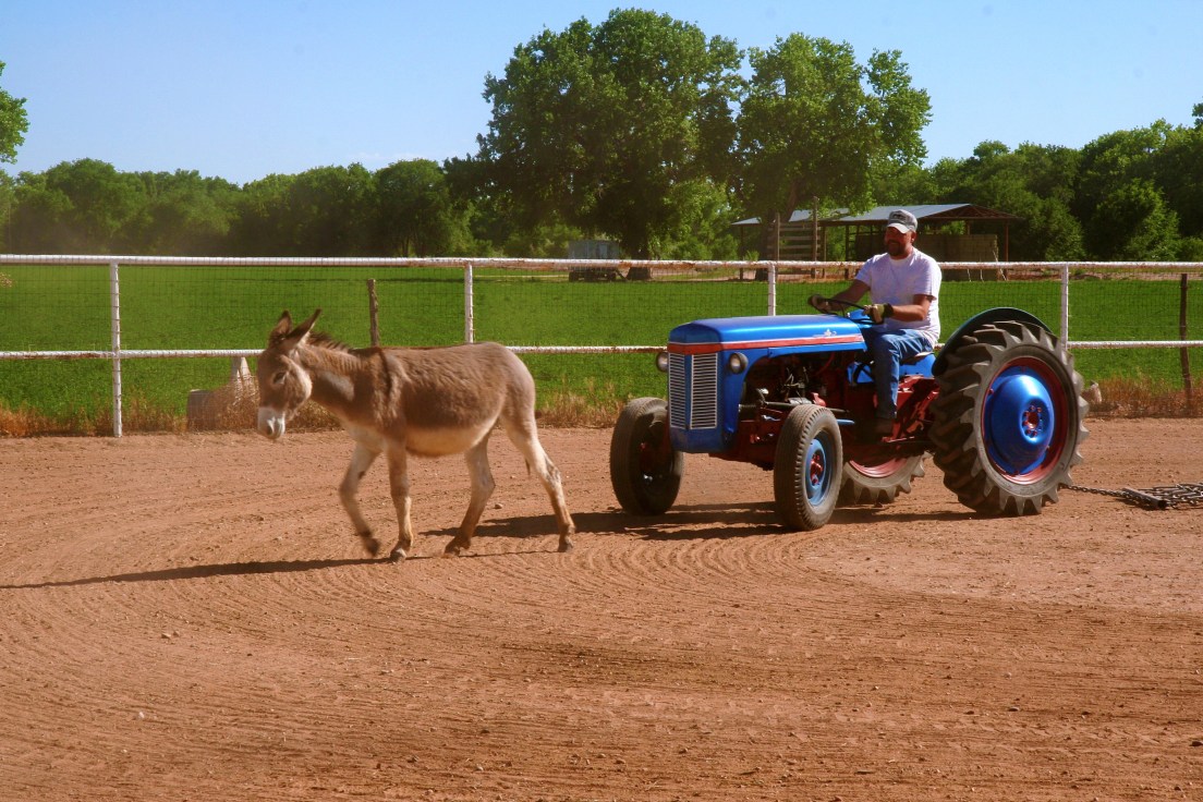 Bernard reenacts a scene from Footloose | Morning Bray Farm