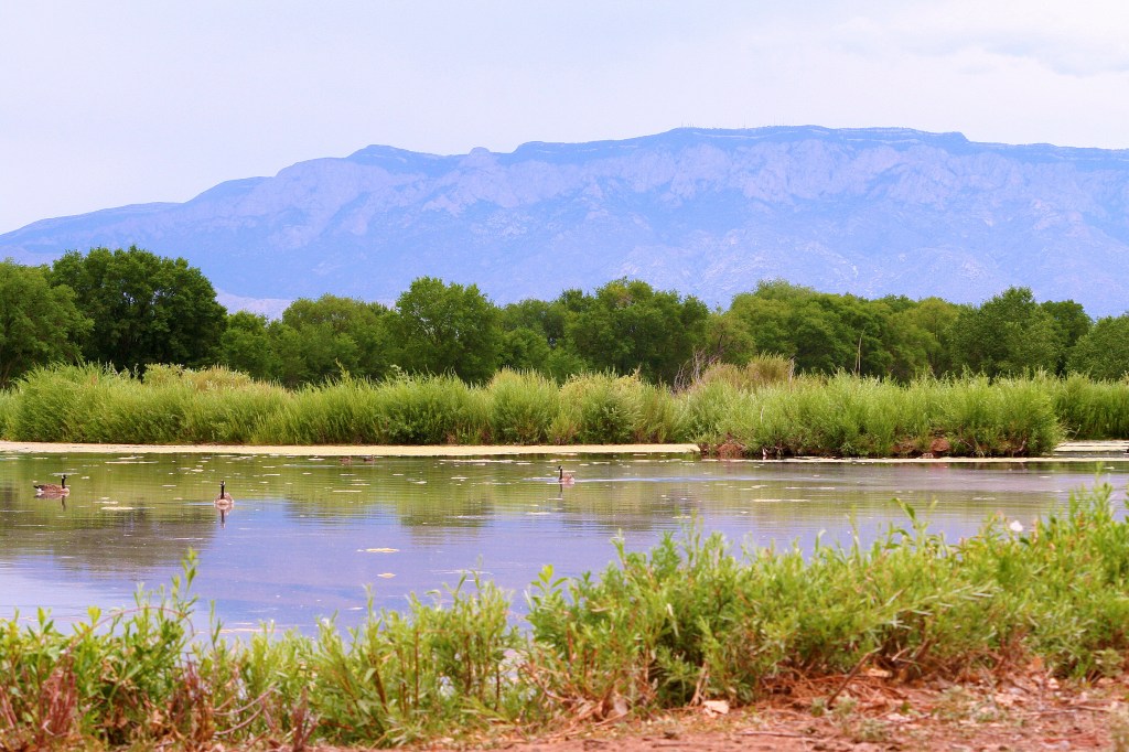 Rio Grande Nature Center State Park | Morning Bray Farm