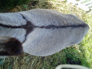 Donkeys Work Logging